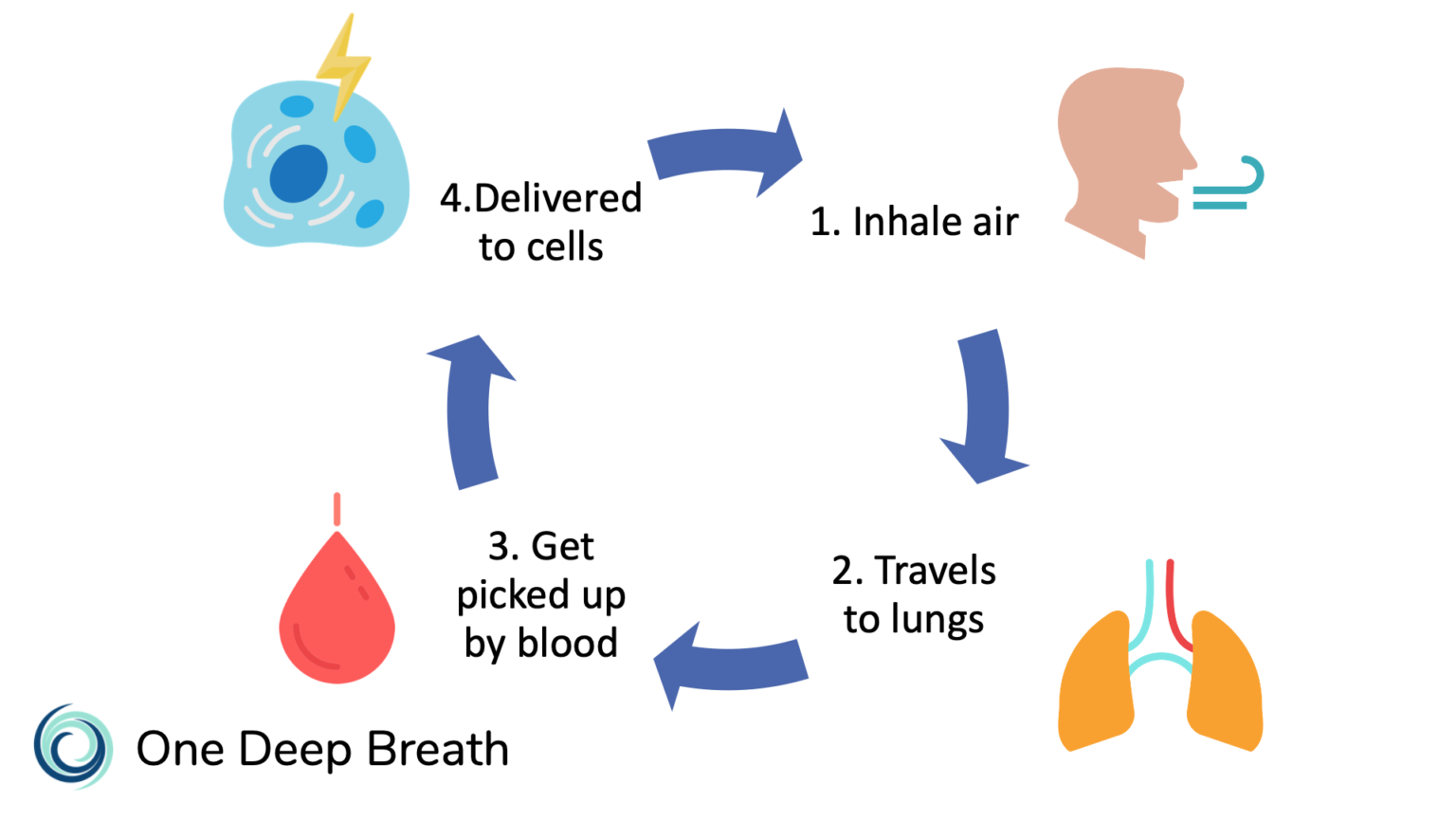 3 Simple Ways to Decrease Stress With the Breath (+ Animations) - One ...
